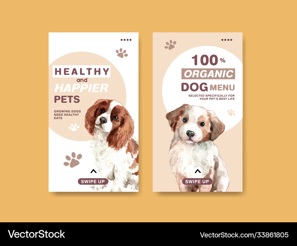 Instagram template with dogs design for social Vector Image