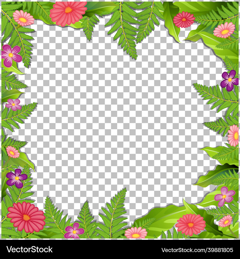 Nature plants frame transparent background Vector Image
