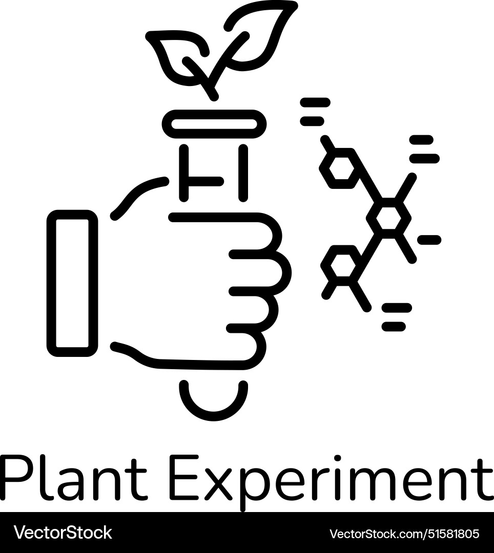 Plant experiment Royalty Free Vector Image - VectorStock