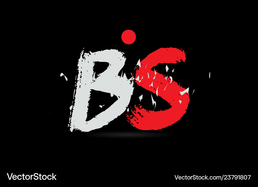 Alphabet letter combination bs b s with grunge Vector Image