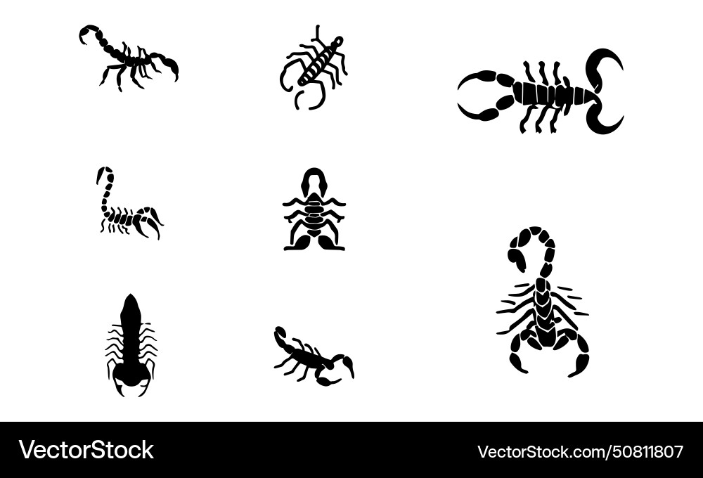 Bark scorpion black icon design Royalty Free Vector Image