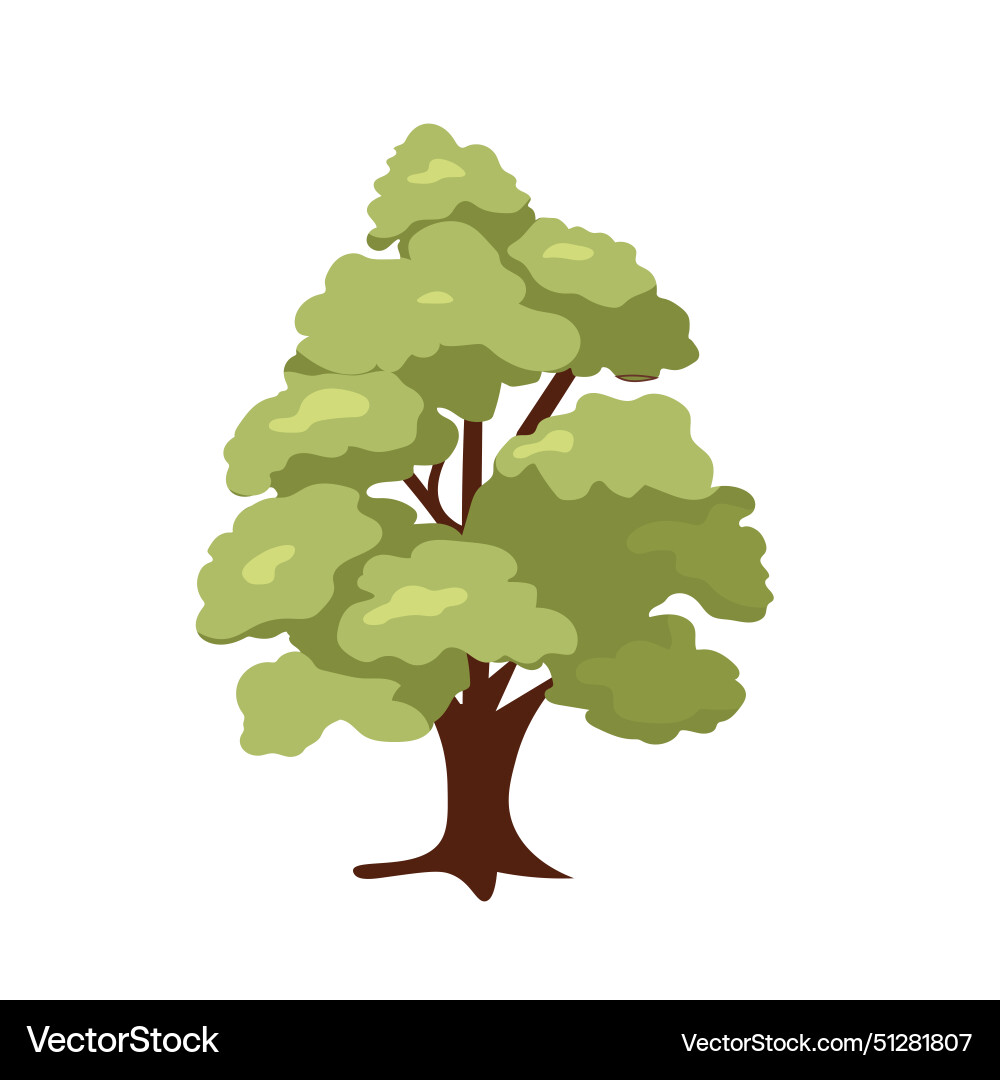 Green tree isolated Royalty Free Vector Image - VectorStock