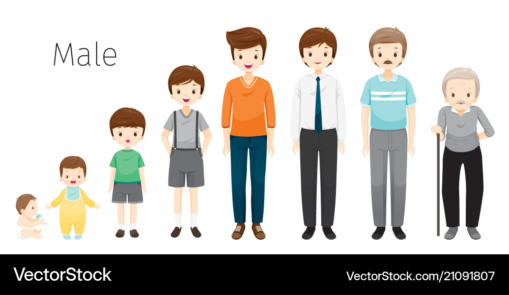 Human Life Cycle Chart Report Comparison Graph Human Health