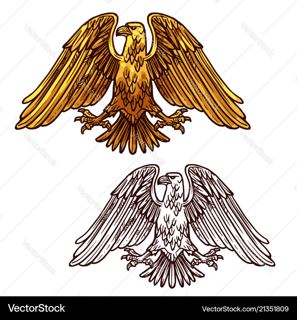 Heraldic eagle symbol of power and strength Vector Image