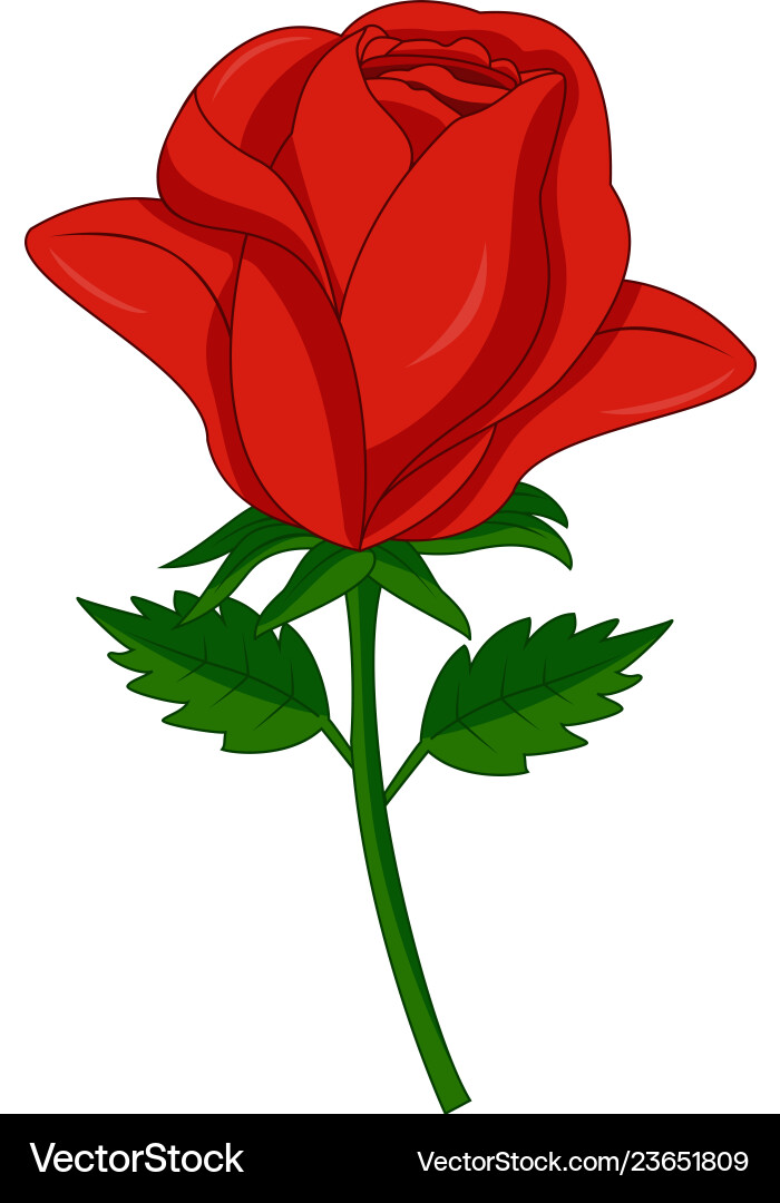 Red rose cartoon Royalty Free Vector Image - VectorStock