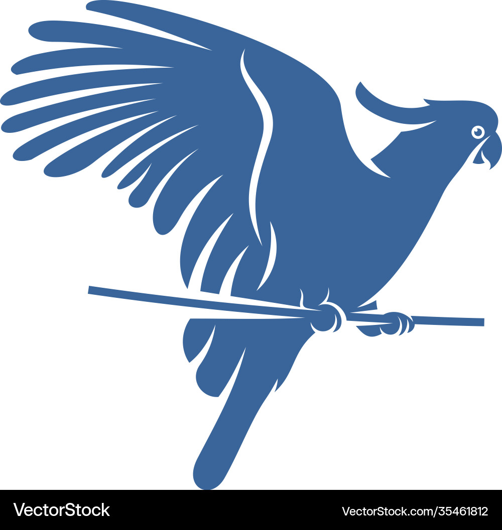 Cockatoo bird design creative parrot logo Vector Image