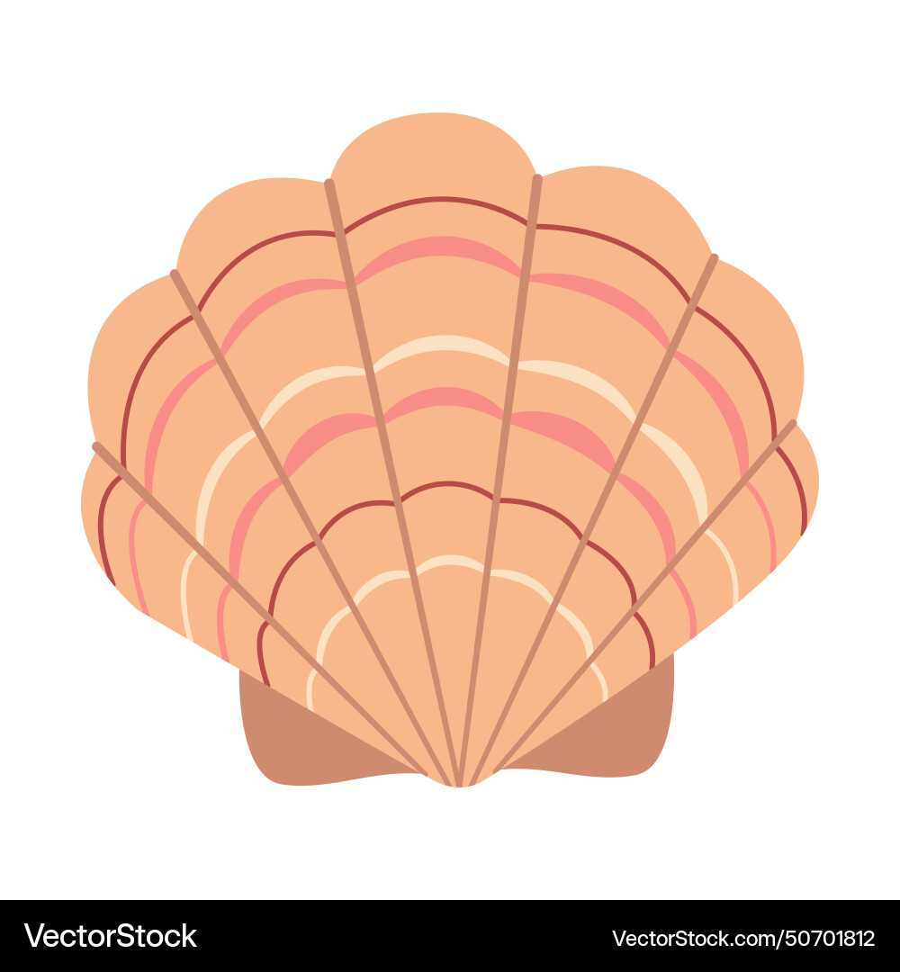 Seashell scallop hand drawn cartoon style flat Vector Image