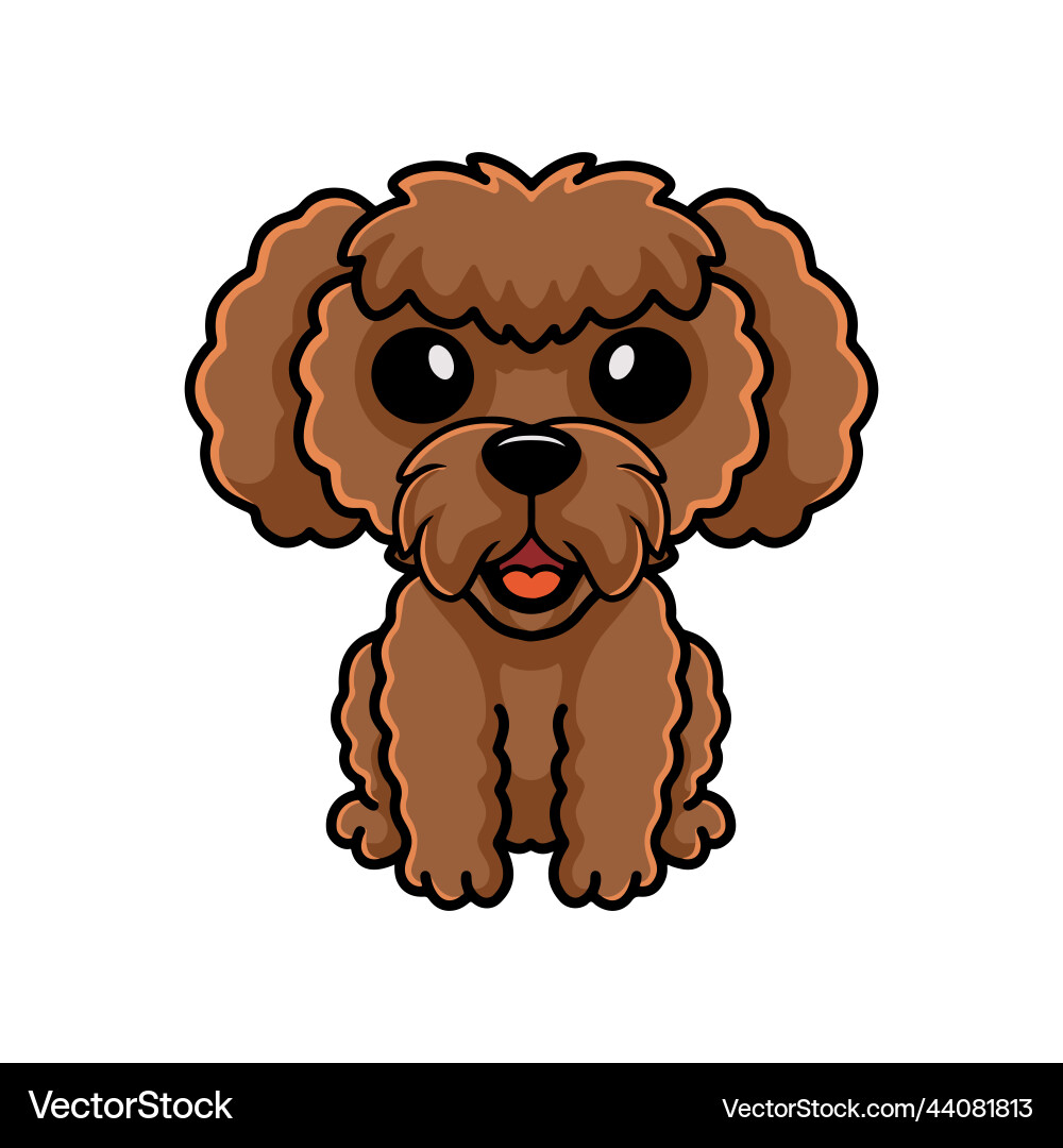 Adorable Toy Poodle Cartoon Royalty Free Vector Image
