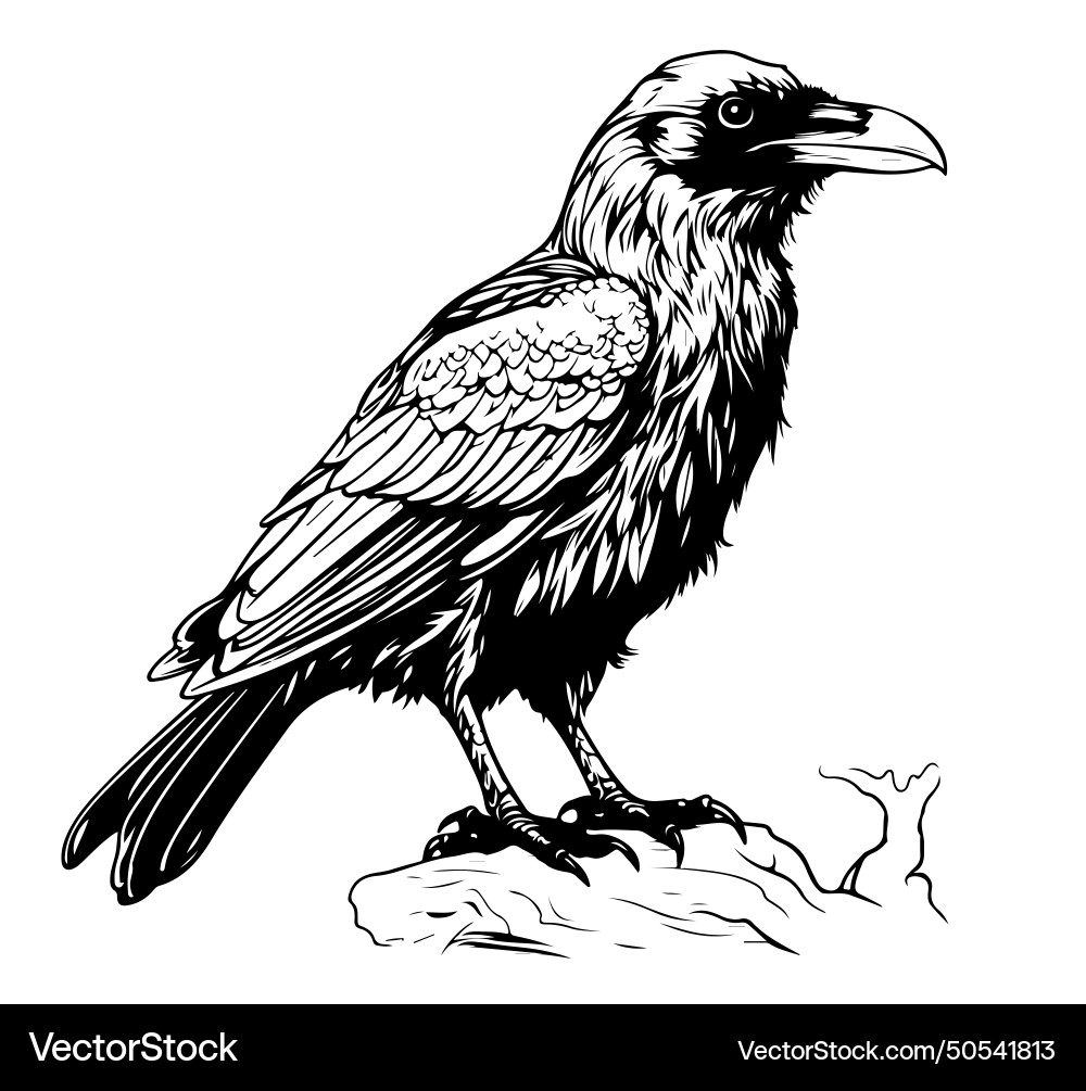 Head of raven crow abstract character Royalty Free Vector