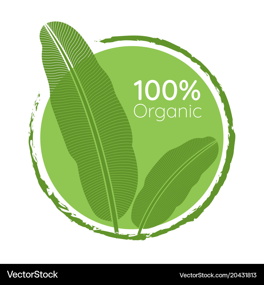 Organic Green Leaf Logo Royalty Free Vector Image