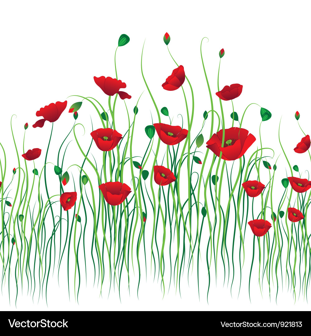 Poppy back Royalty Free Vector Image - VectorStock