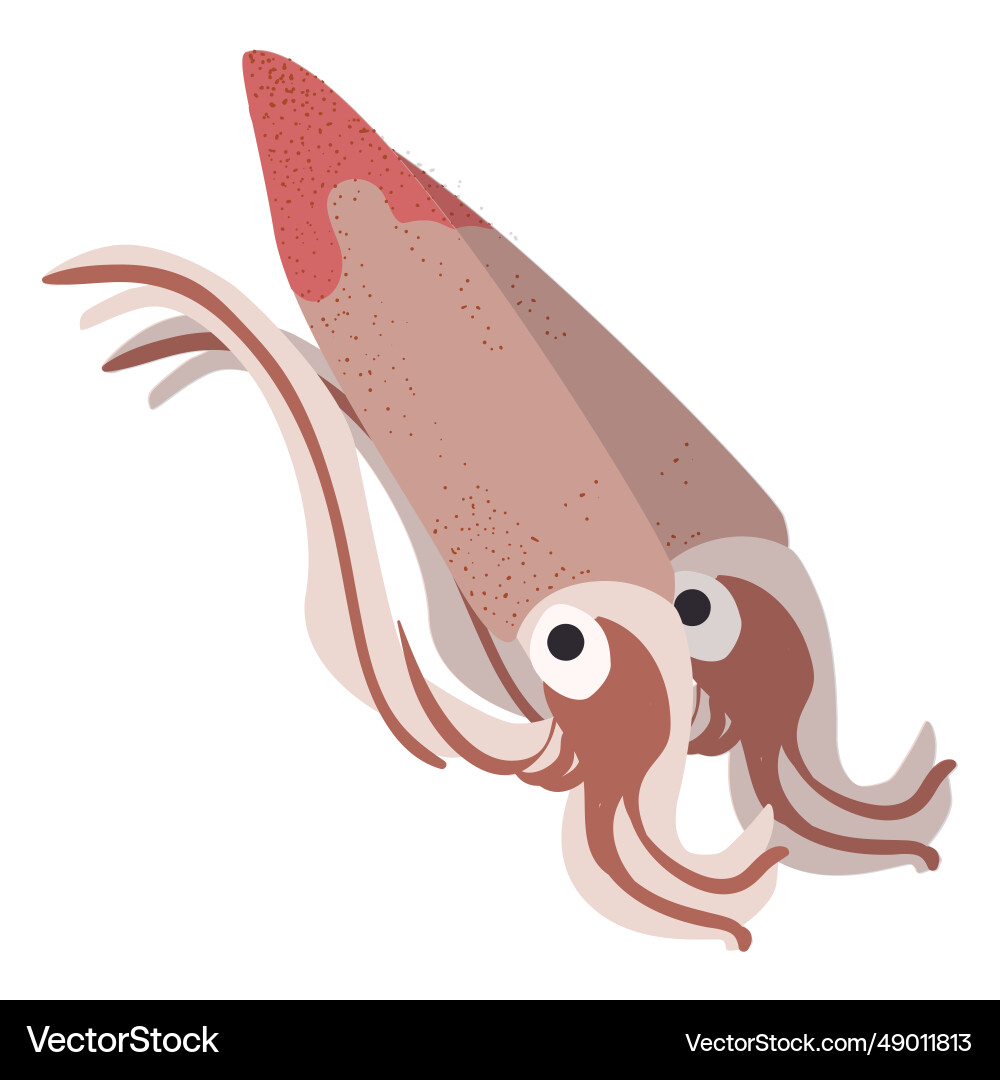 Squid sea Royalty Free Vector Image - VectorStock