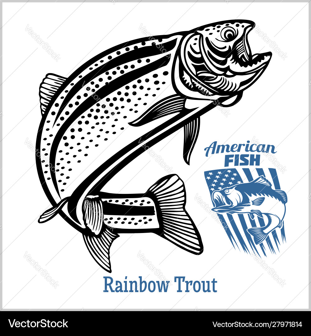 Rainbow trout fishing on usa isolated white Vector Image