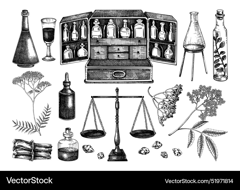 Vintage apothecary hand-drawn b Royalty Free Vector Image