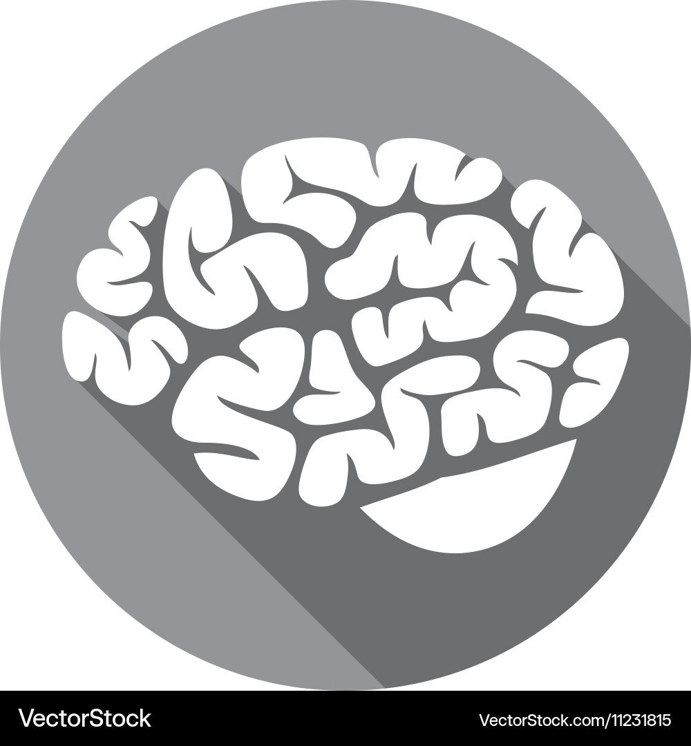 Brain Icon - Anatomy & Health Royalty Free Vector Image