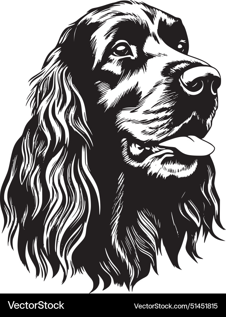 Cocker spaniel - high quality logo ideal Vector Image