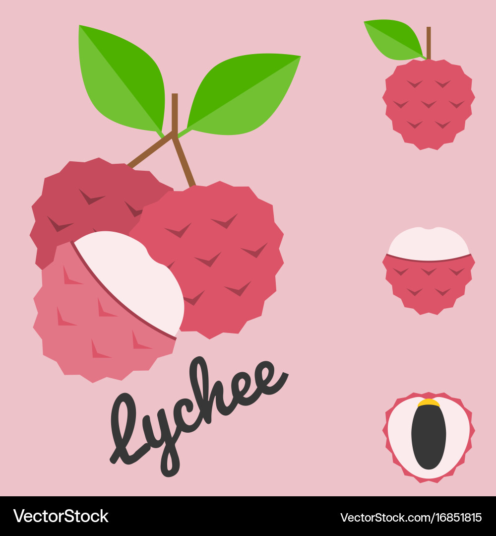 Lyche Lizenzfreies Vektorbild - VectorStock