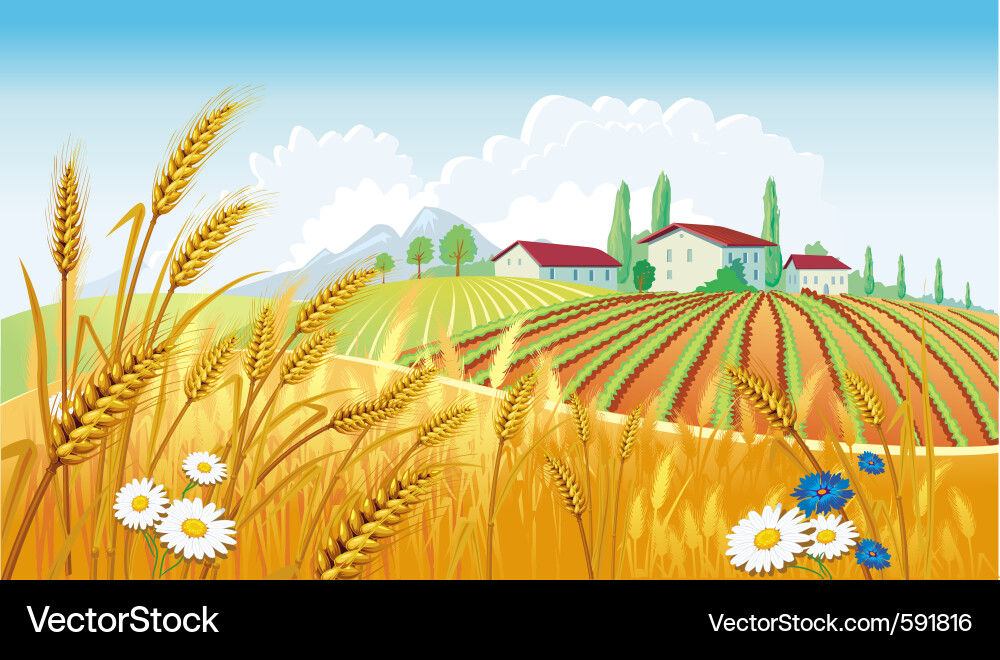 Rural landscape Royalty Free Vector Image - VectorStock