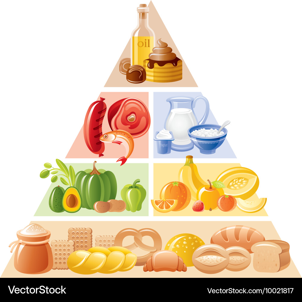 Food guide pyramid Royalty Free Vector Image - VectorStock