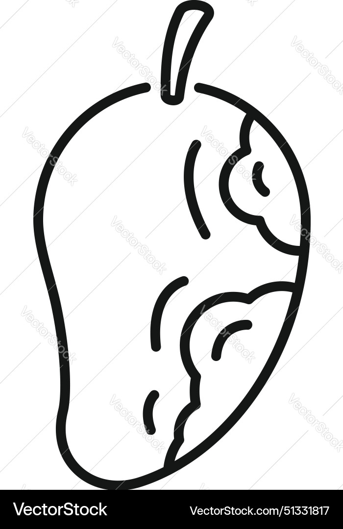 Handdrawn of a mango Royalty Free Vector Image