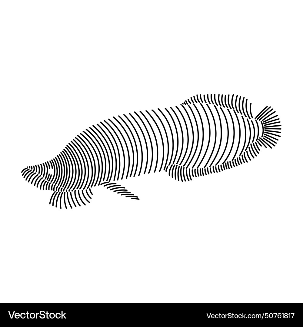 Simple line art of arapaima fish 2 Royalty Free Vector Image