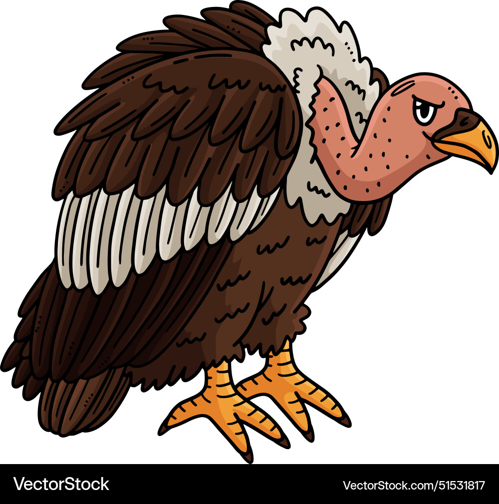Vulture bird cartoon colored clipart Royalty Free Vector