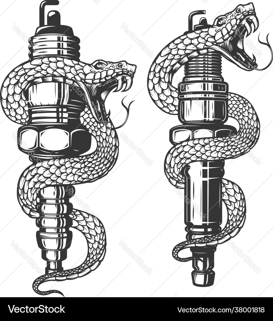 Snake on car spark plug design element for poster Vector Image