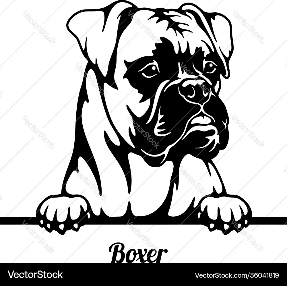 Boo Hund Vector Images (über 810)