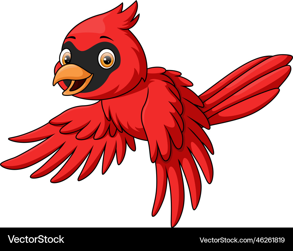 Cute cardinal bird cartoon on white background Vector Image