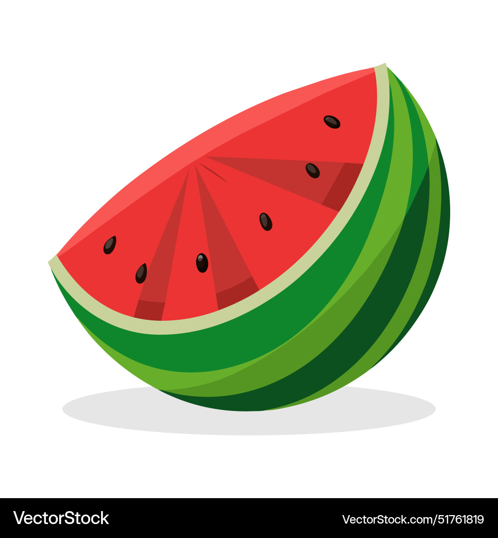 Watermelon flat on white background Royalty Free Vector