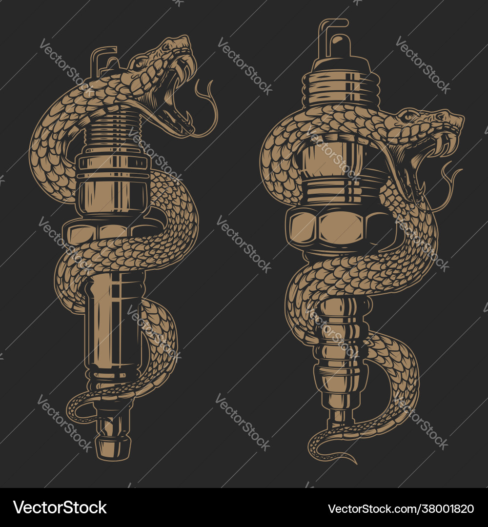 Snake on car spark plug design element for poster Vector Image