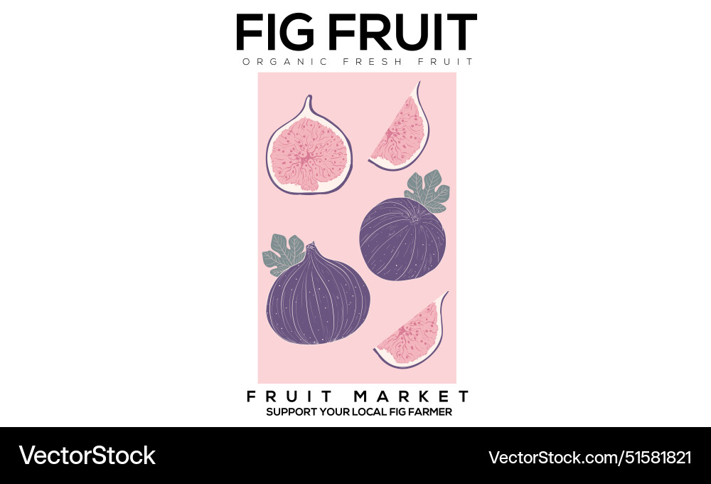 Fruit market organic fig print Royalty Free Vector Image