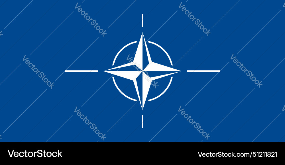 Nato or north atlantic treaty organization flag Vector Image
