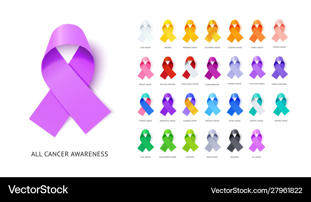 Cancer awareness ribbons realistic Royalty Free Vector Image