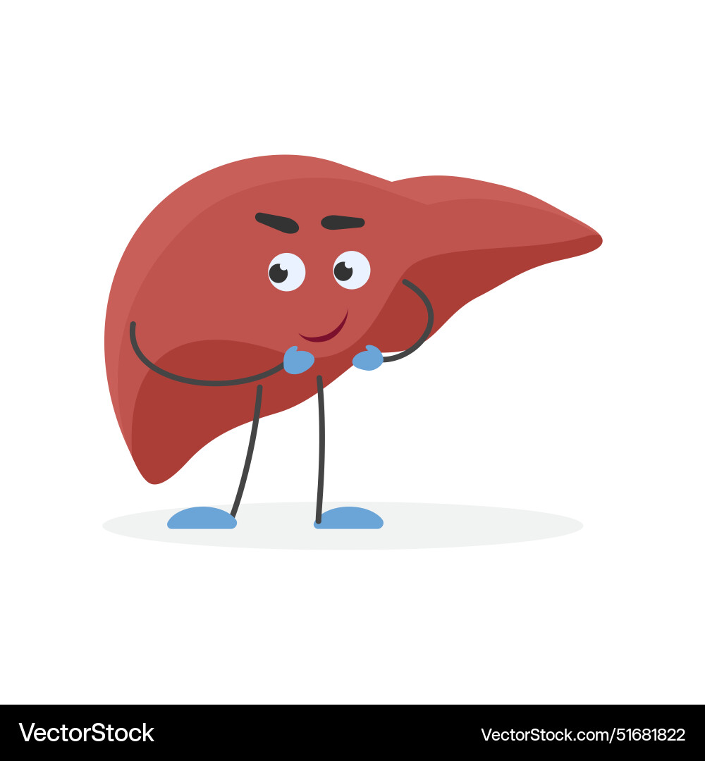 Happy human liver character standing Royalty Free Vector