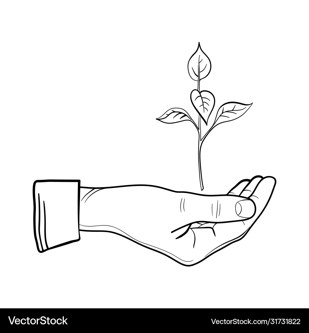 Human hand with a young sprout line art Royalty Free Vector