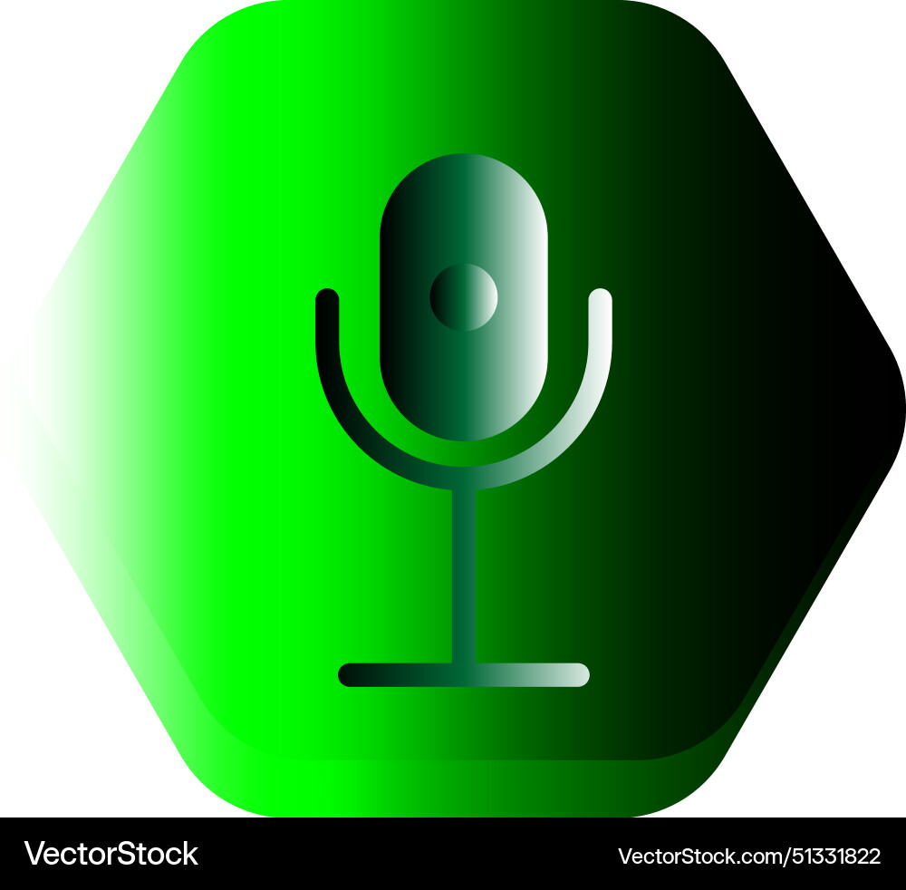 Voice recorder speaker microphone icon Royalty Free Vector