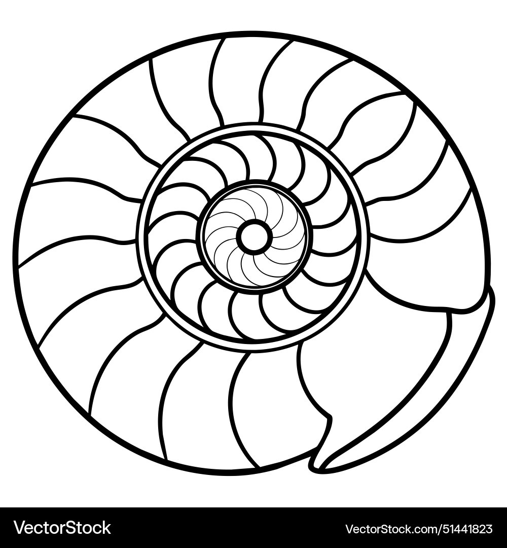 Ammonite shell sits icon Royalty Free Vector Image