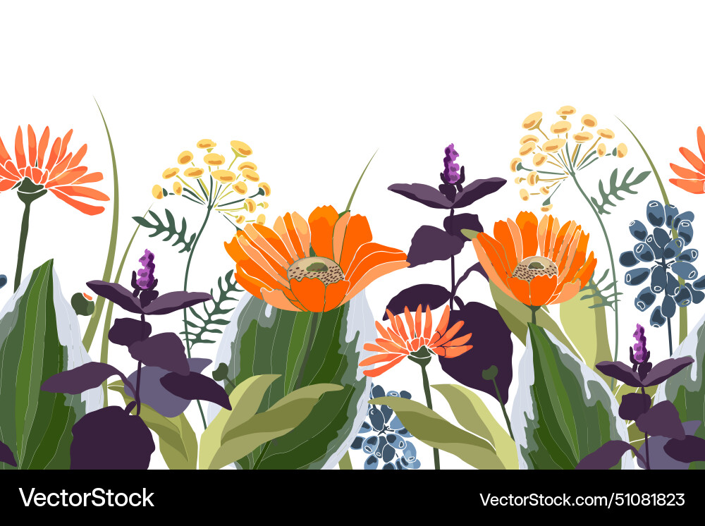Floral seamless pattern border Royalty Free Vector Image