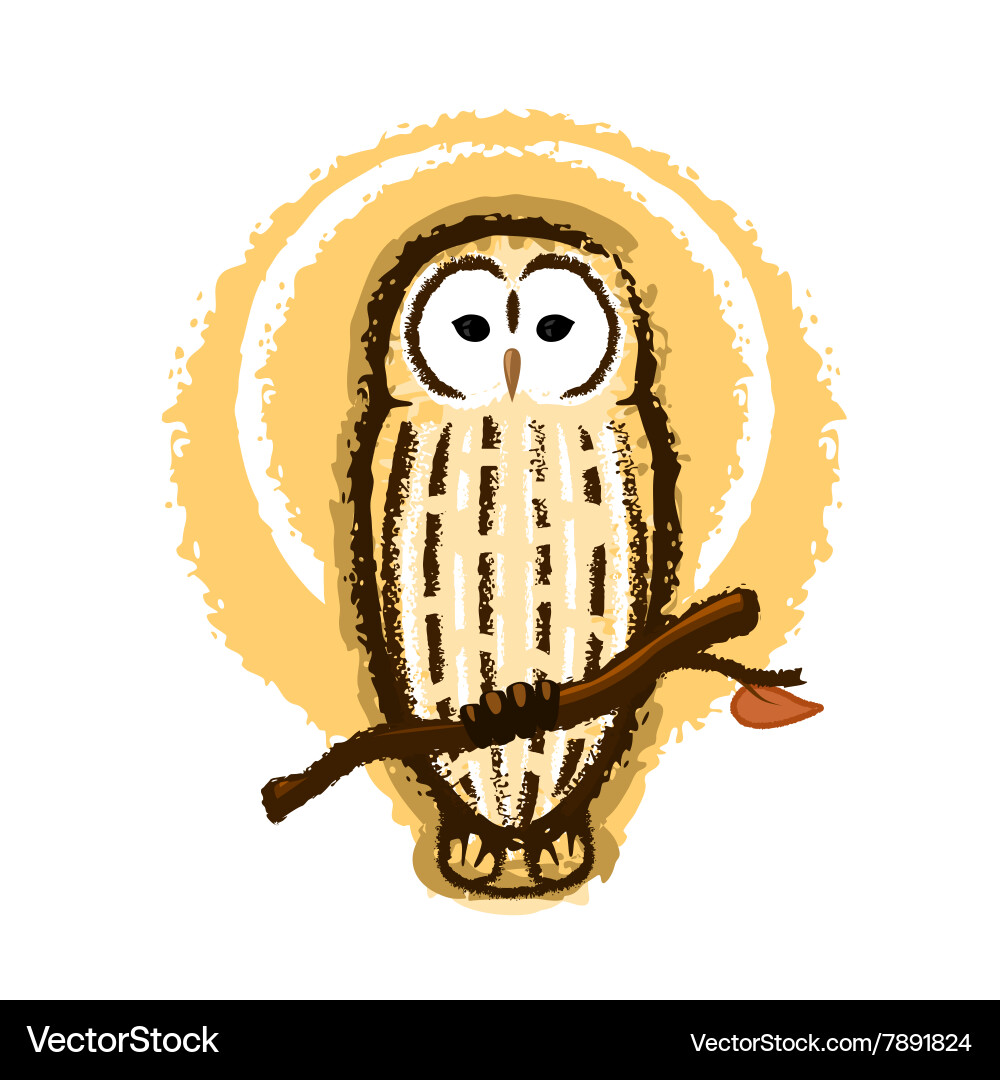 Barred owl Royalty Free Vector Image - VectorStock