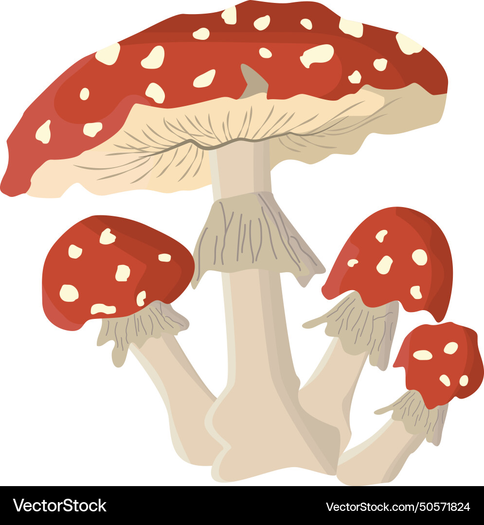 Colored realistic mushroom Royalty Free Vector Image