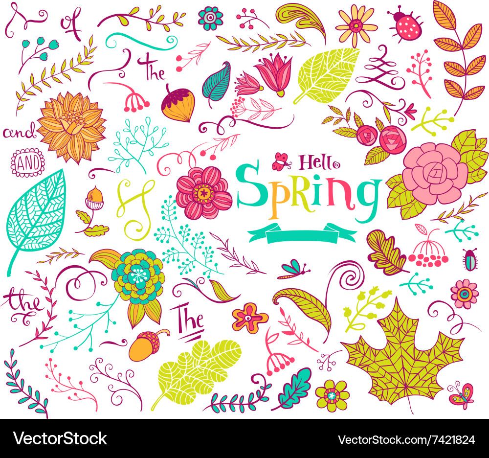 Floral spring design elements in doodle style Vector Image
