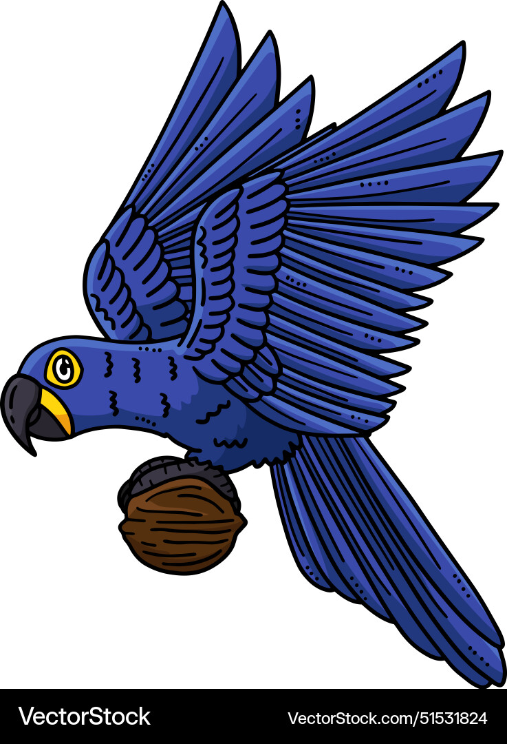 Clipart Macaw Martinique Macaw, Illustration Stock Image F038/9253