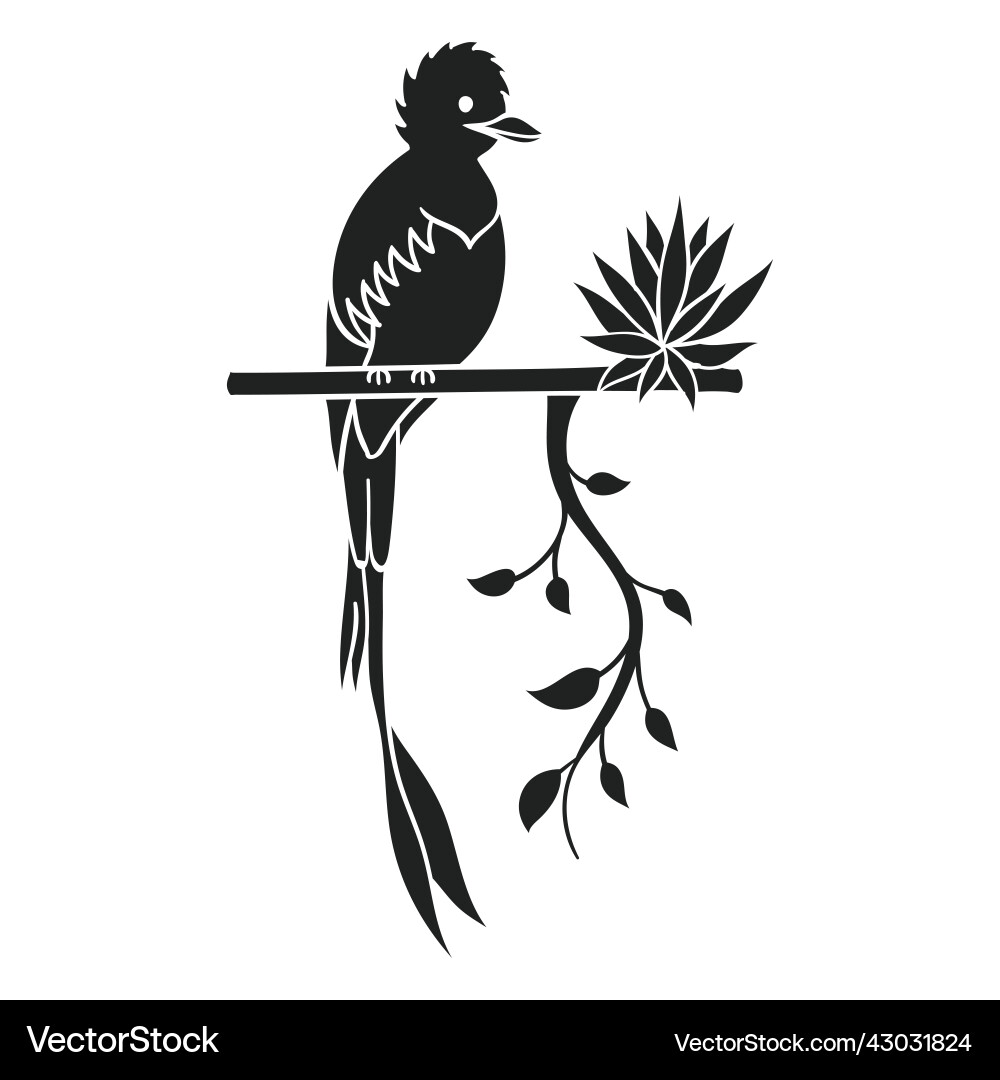 Guatemala Quetzal Vector Images (90)