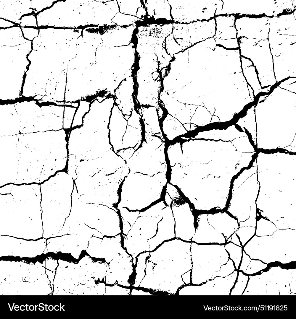 Detailed grunge scratched texture background Vector Image