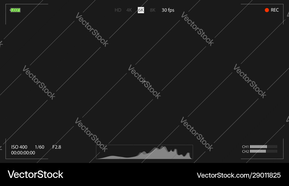 DSLR Viewfinder Display Royalty Free Vector Image