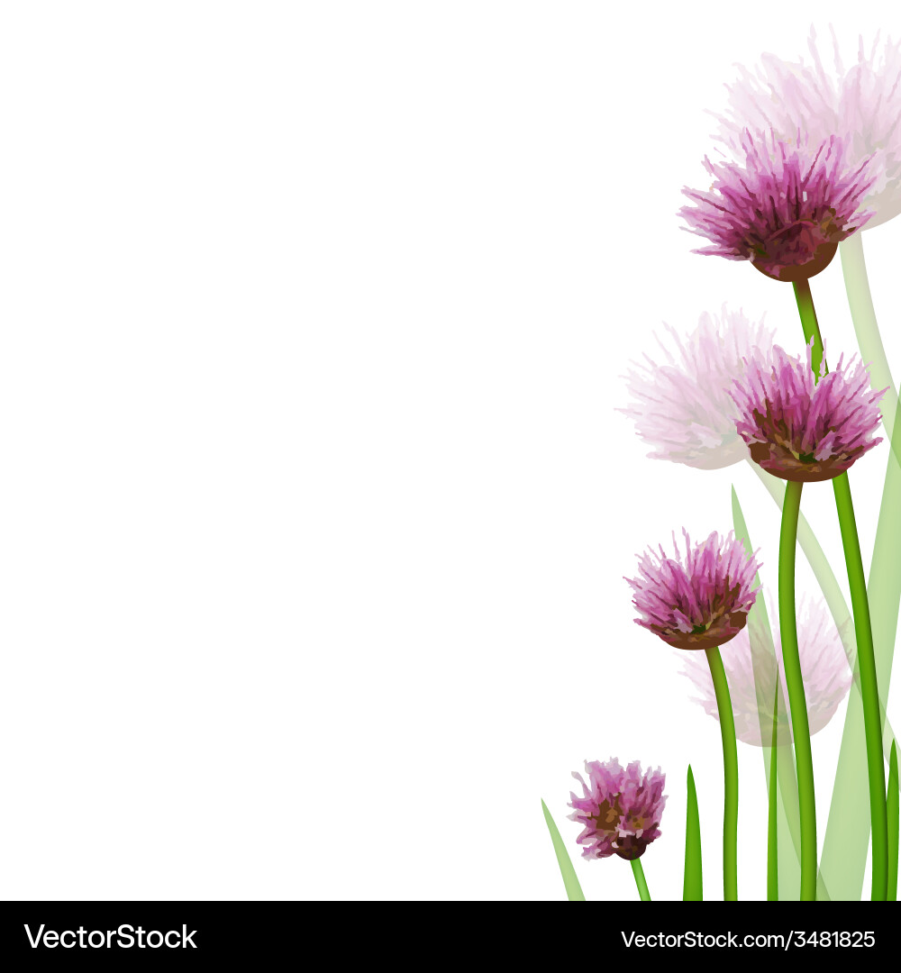 Flower border Royalty Free Vector Image - VectorStock