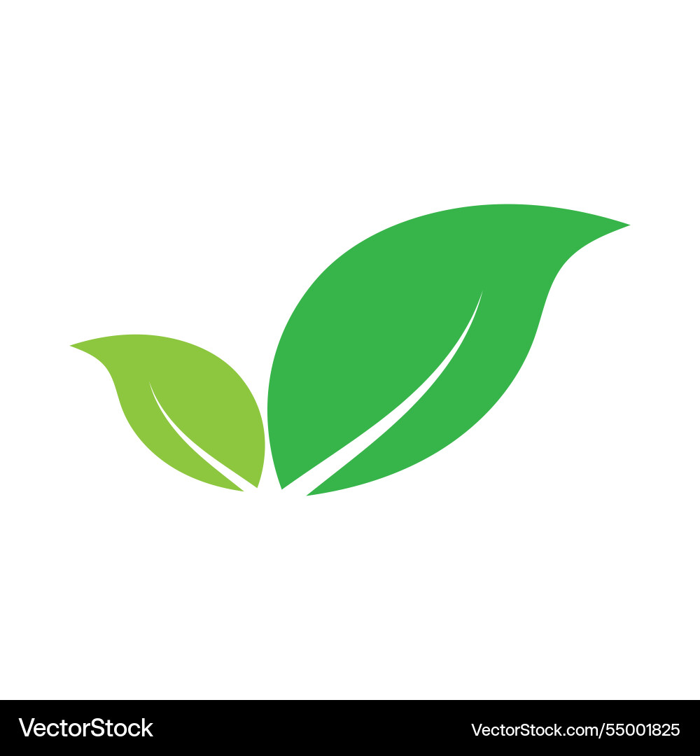 Leaf graphic design logo template Royalty Free Vector Image