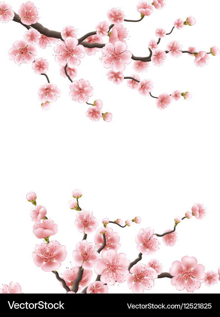 Sakura Floral Frame - Pink Blossom Royalty Free Vector Image