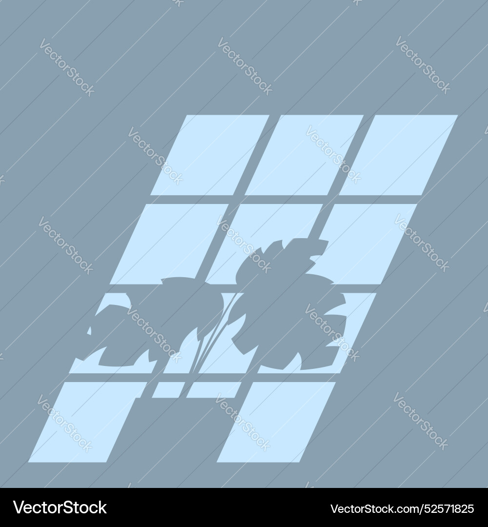Sunlight shining through window with plant shadow Vector Image